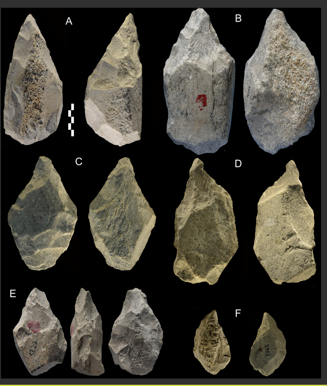 Italian Neanderthals and their elephant-bone hand-tools | Artmaker Blog